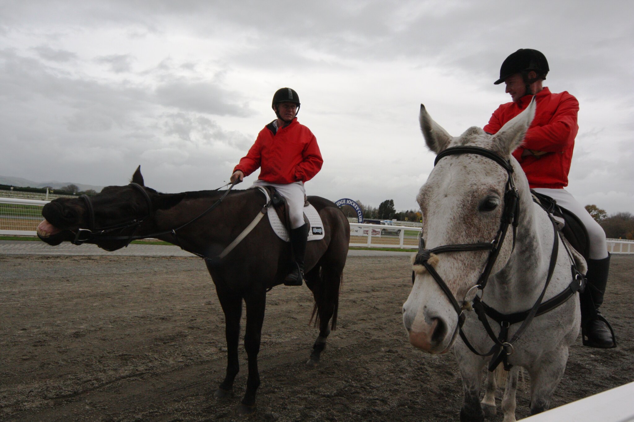 Locals to the fore at Jockey Club | Cambridge News