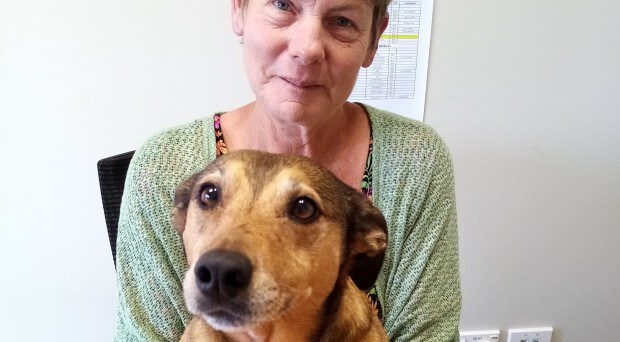 Unwelcome before, but now Rosie comes to the rescue | Cambridge News