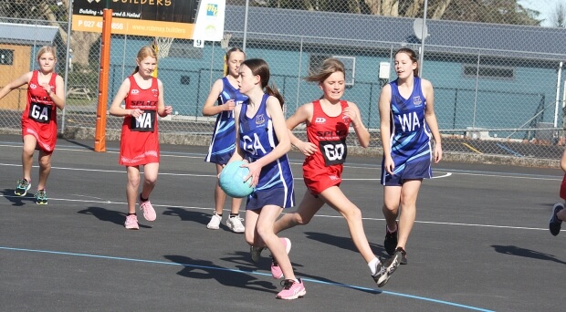 Kauri on top | Cambridge News