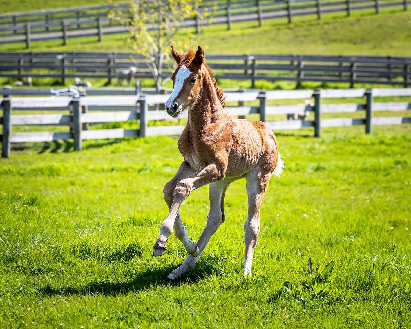 Riding into the future | Cambridge News