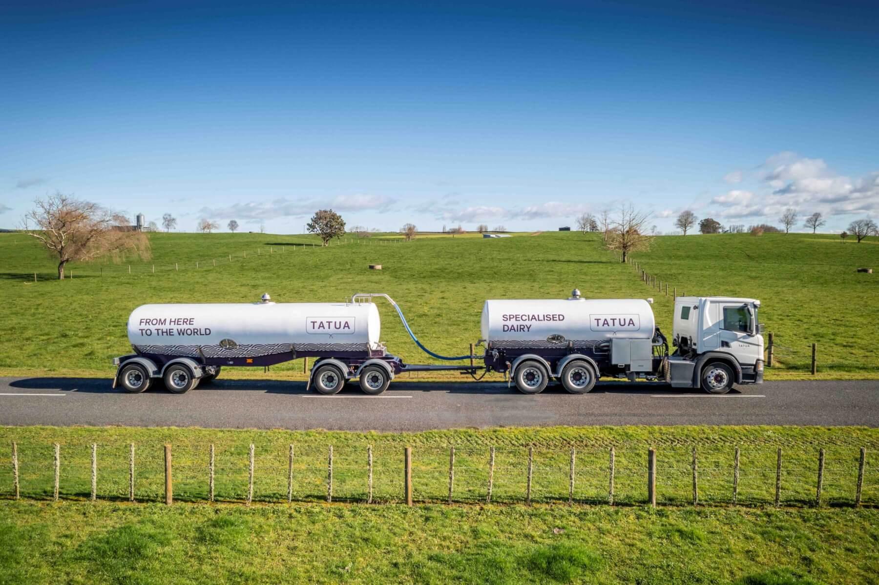 Twelve of the best for Tatua | Cambridge News