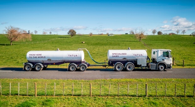 Twelve of the best for Tatua | Cambridge News