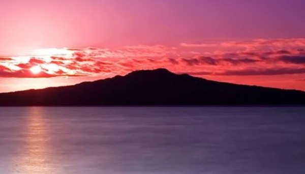 Rangitoto, outstanding in its field | Cambridge News