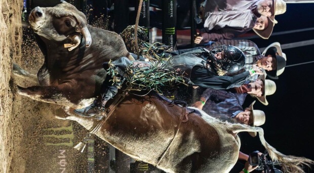 Ward in rural chase | Cambridge News