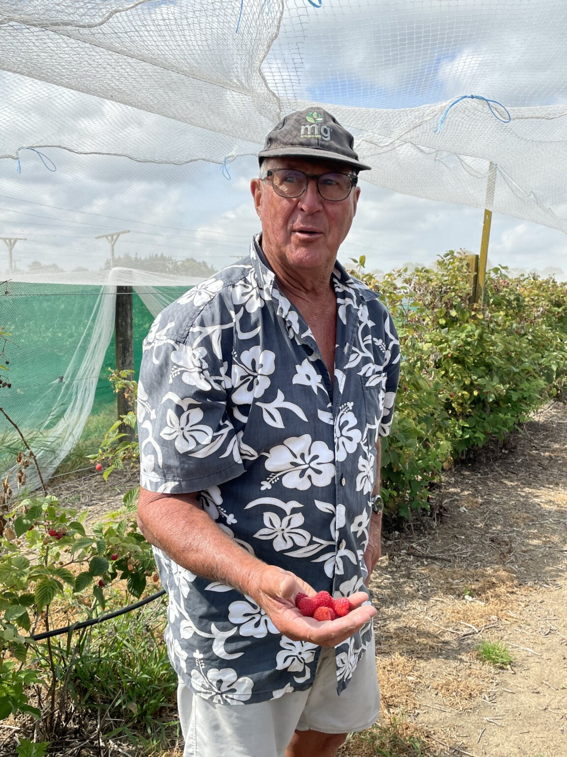 Bob’s award winning berries | Cambridge News